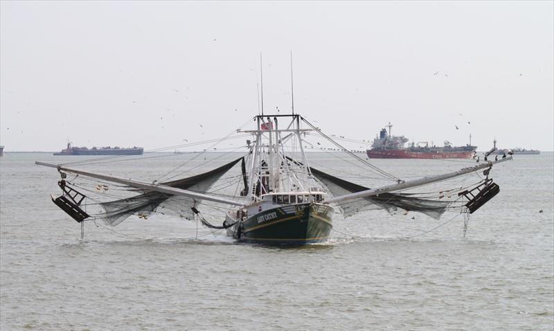 LADY CATHY - Vesseljoin