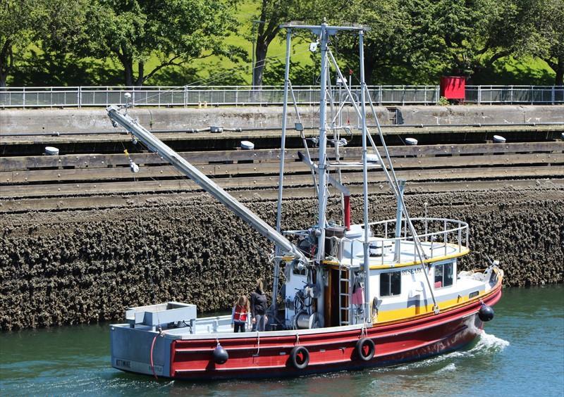 KITTIWAKE - Vesseljoin