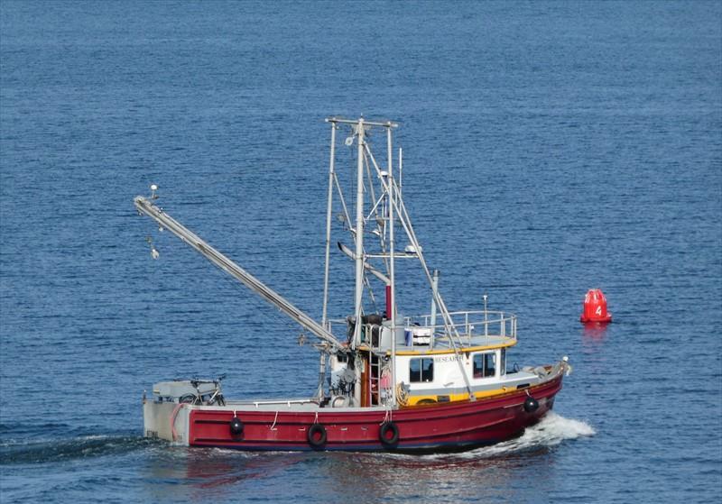 KITTIWAKE - Vesseljoin