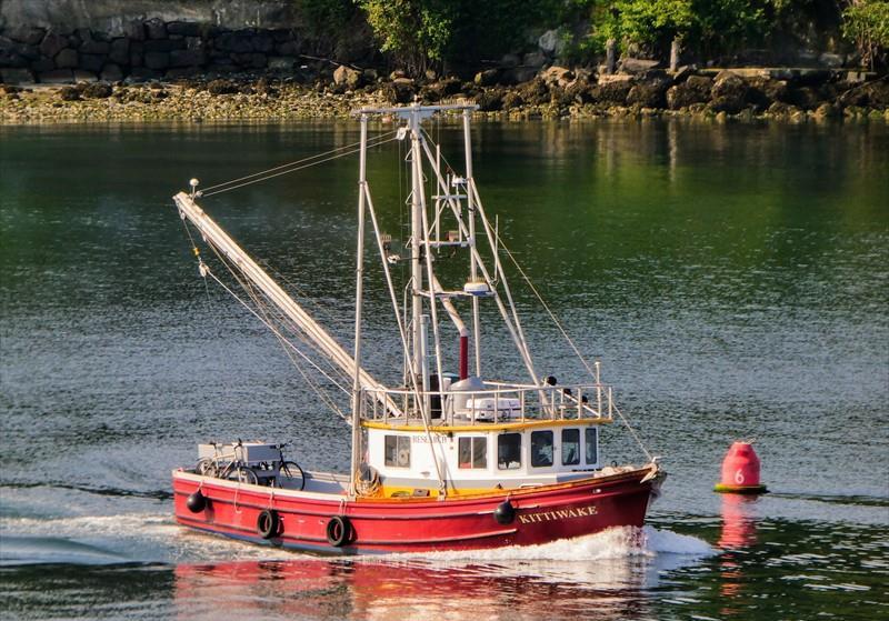 KITTIWAKE - Vesseljoin