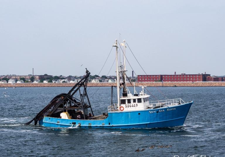 NEW SEA ROVER - Vesseljoin