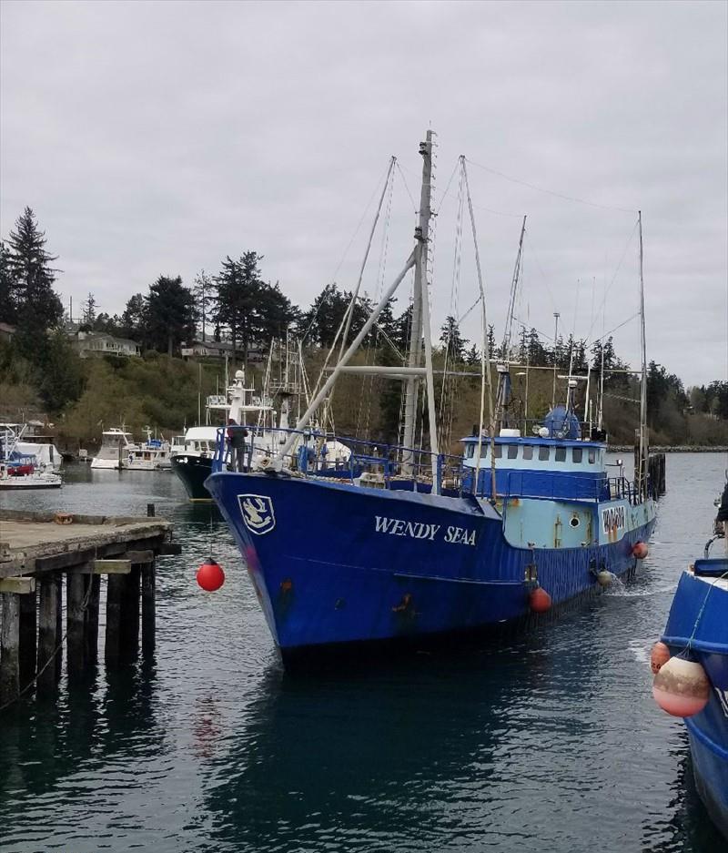 WENDY SEAA - Vesseljoin