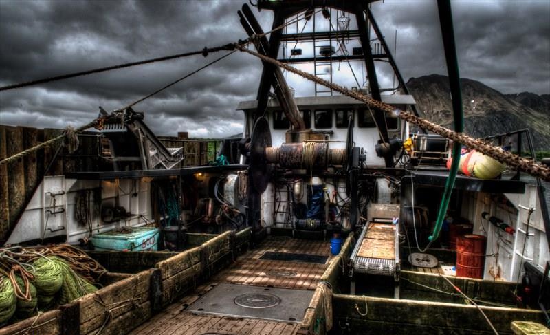 GOLD RUSH - Vesseljoin