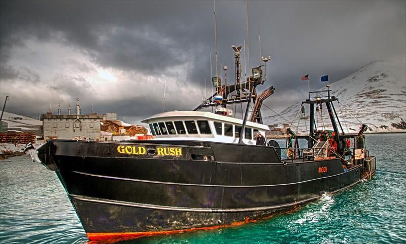 GOLD RUSH - Vesseljoin