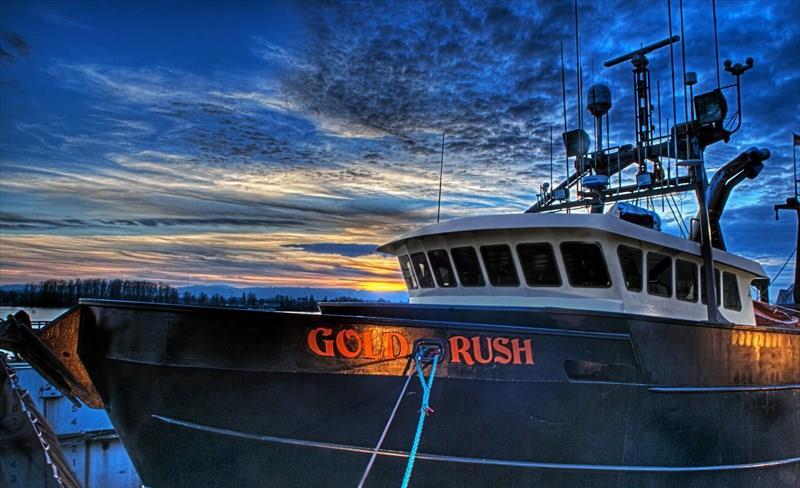 GOLD RUSH - Vesseljoin