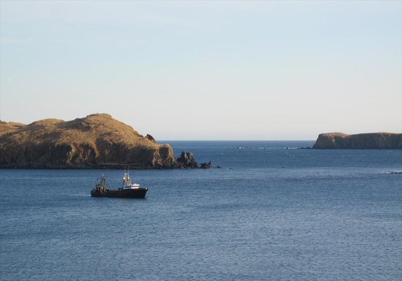 GOLD RUSH - Vesseljoin