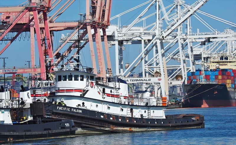 PACIFIC FALCON - Vesseljoin