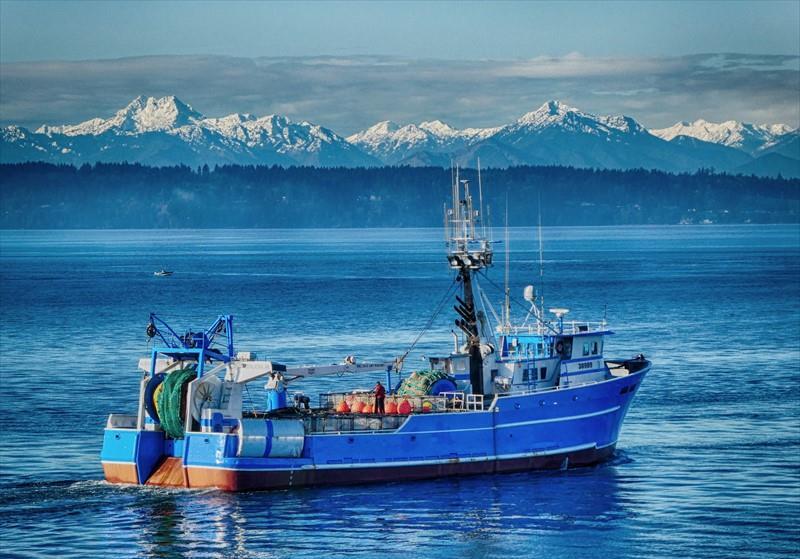 ALASKA ROSE - Vesseljoin