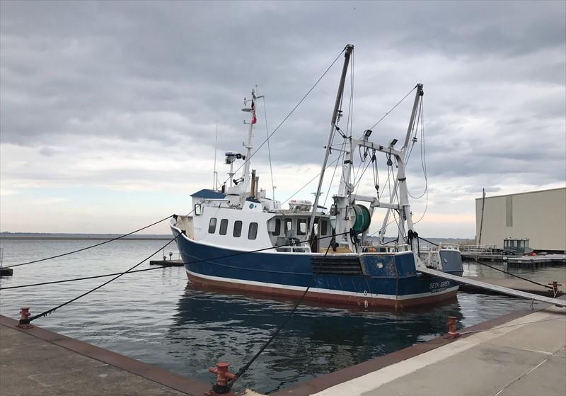 SETH GREEN - Vesseljoin