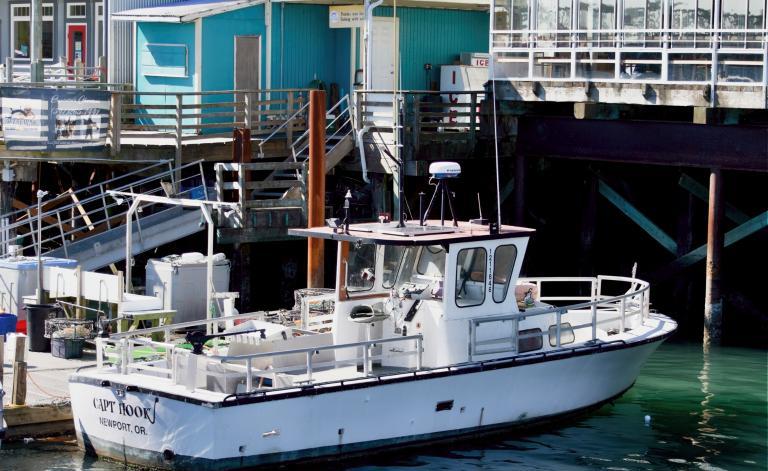 CAPT HOOK - Vesseljoin