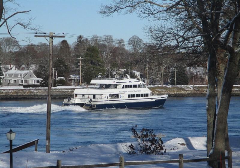 ASTERIA - Vesseljoin