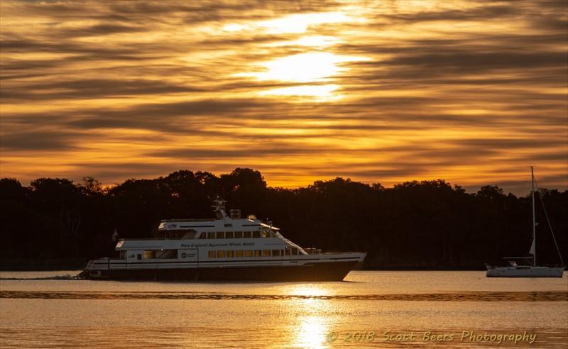 ASTERIA - Vesseljoin