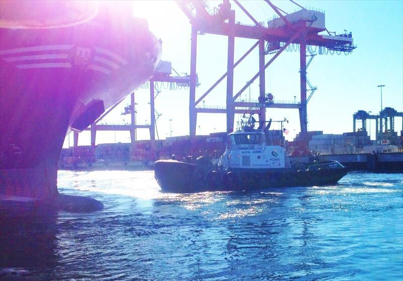 ALTA JUNE - Vesseljoin