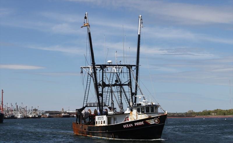 OCEAN PRIDE - Vesseljoin