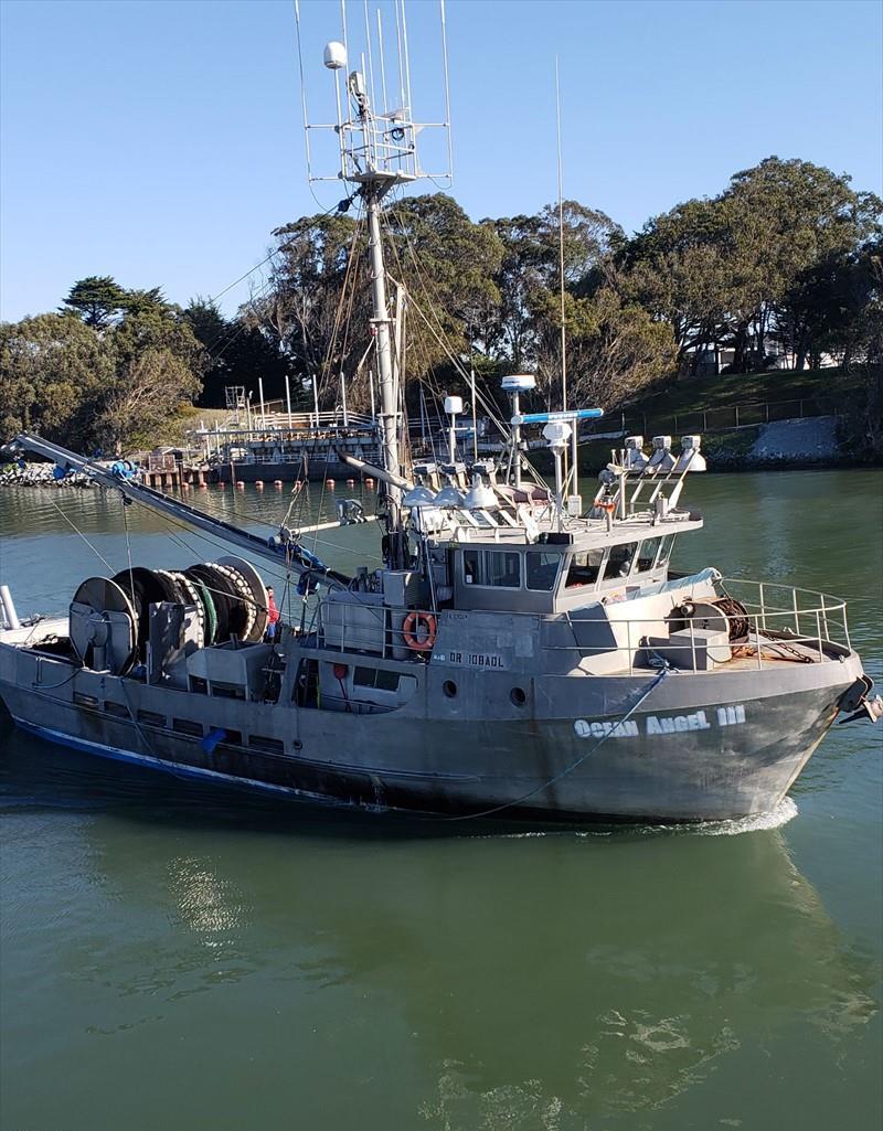 OCEAN ANGEL 3 - Vesseljoin