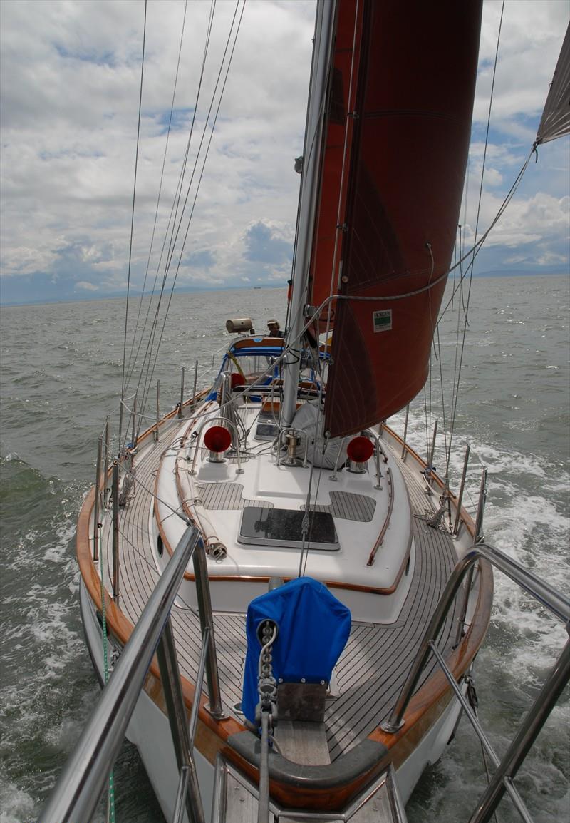 SPLIT CROW - Vesseljoin