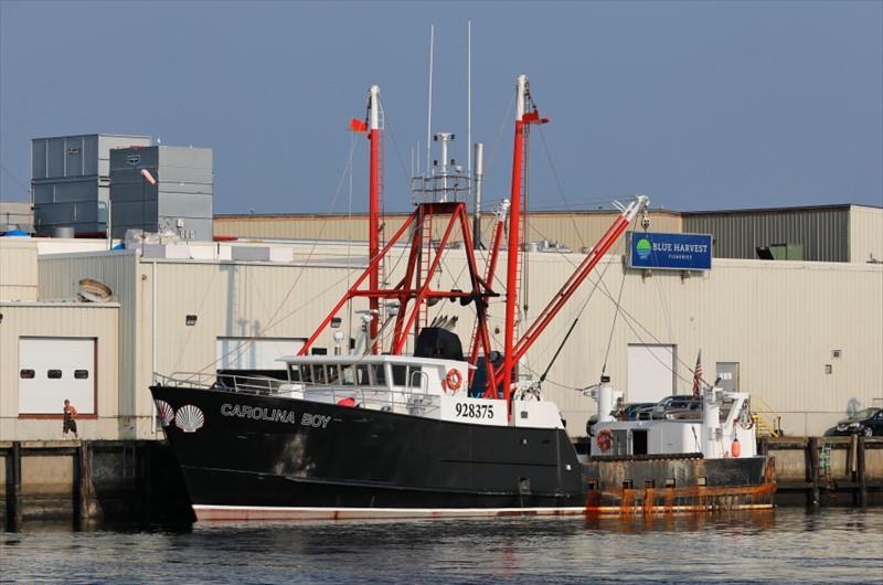 CAROLINA BOY - Vesseljoin