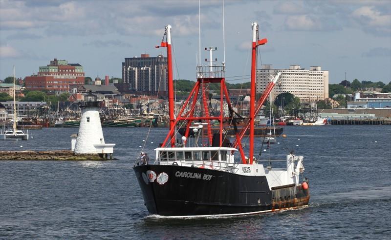 CAROLINA BOY - Vesseljoin