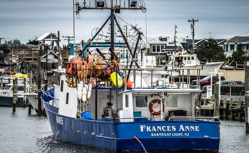 FRANCES ANNE - Vesseljoin