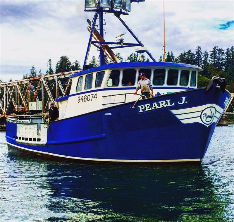 PEARL J - Vesseljoin