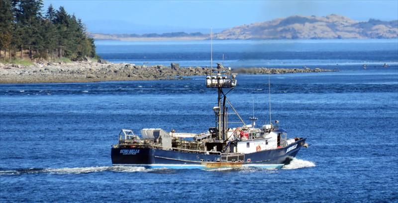 ECHO BELLE - Vesseljoin