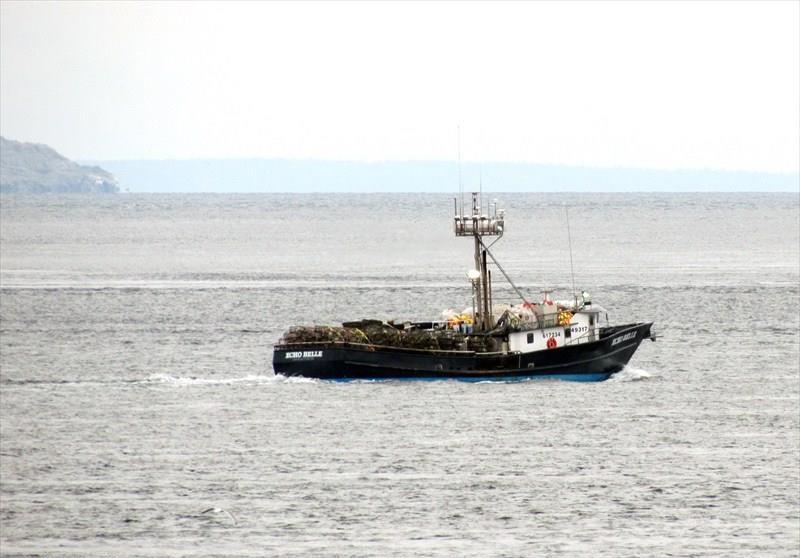 ECHO BELLE - Vesseljoin