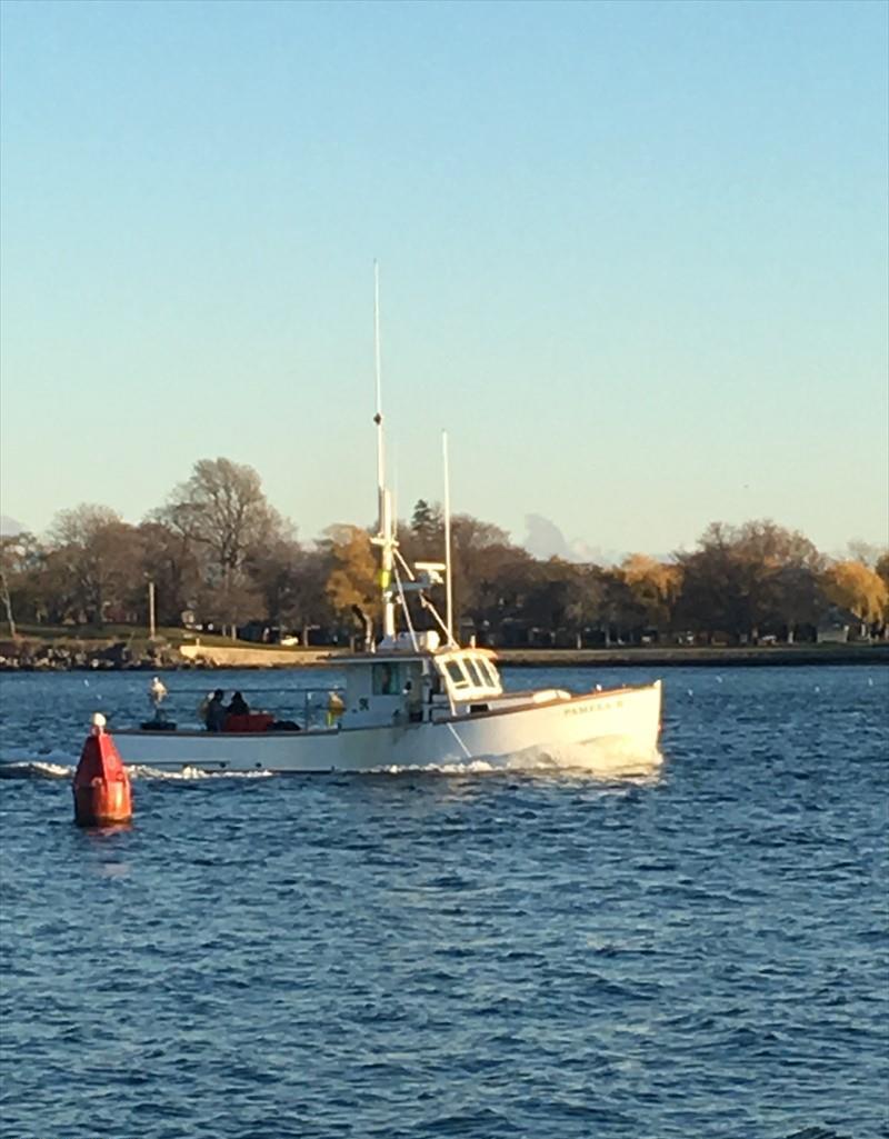 PAMALA B - Vesseljoin