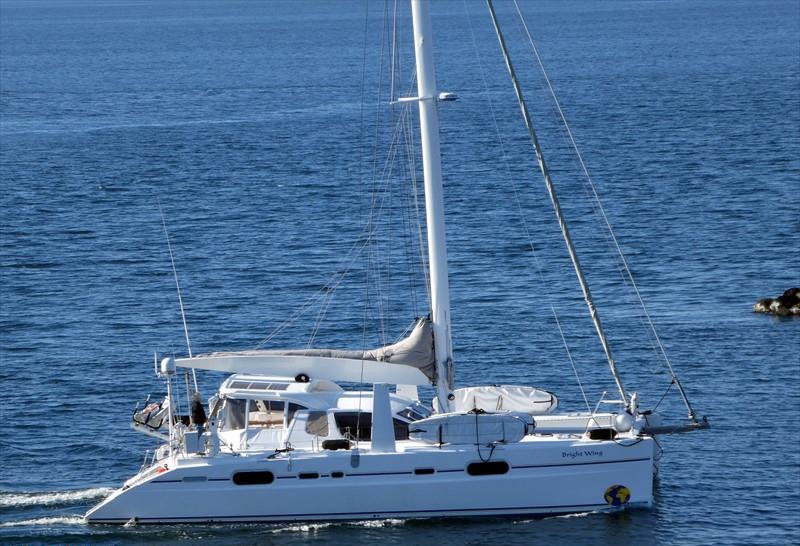 BRIGHT WING - Vesseljoin