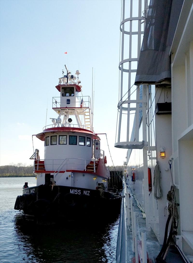 MISS NIZ - Vesseljoin