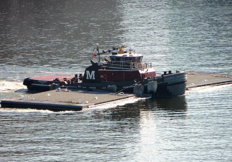 MARCI MORAN - Vesseljoin