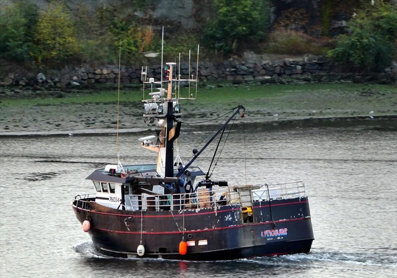 CYNOSURE - Vesseljoin