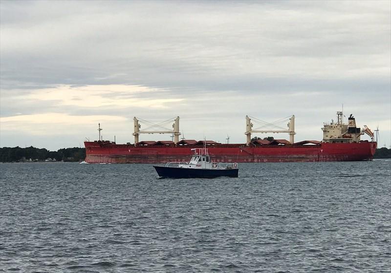 SEAWAY PILOT IV - Vesseljoin