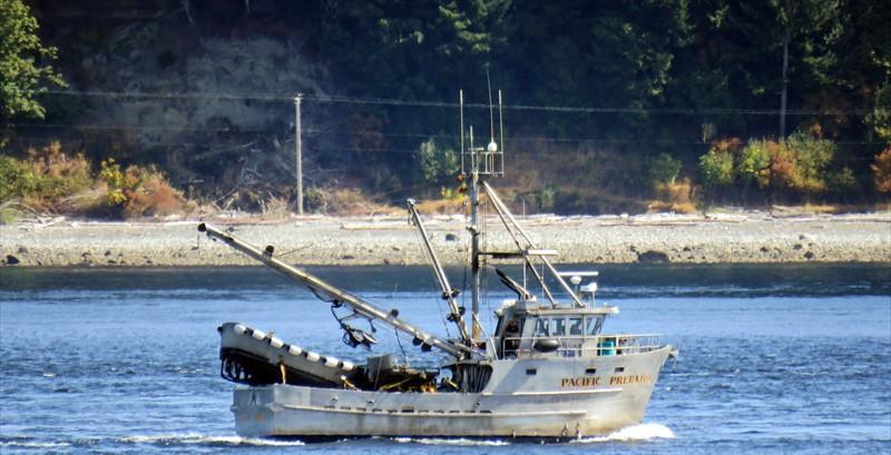 PACIFIC PREDATOR - Vesseljoin