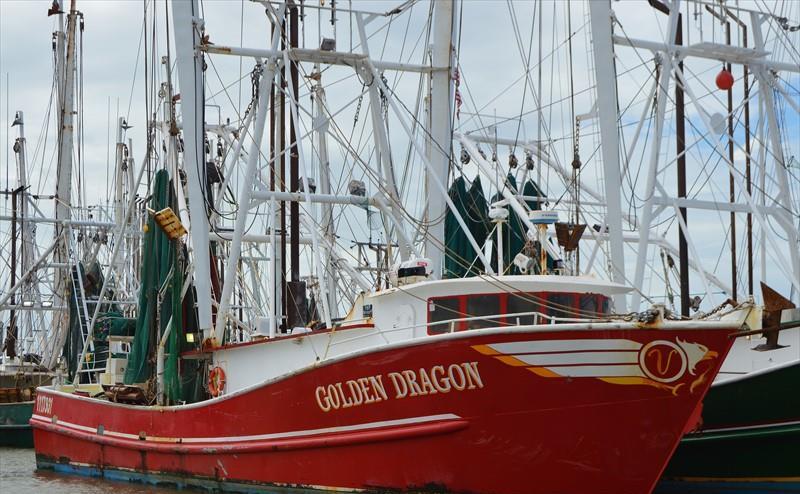 GOLDEN DRAGON - Vesseljoin