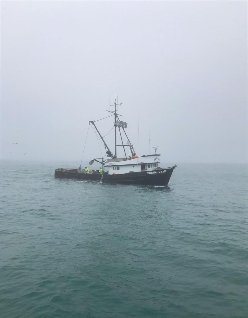 VERNA JEAN - Vesseljoin