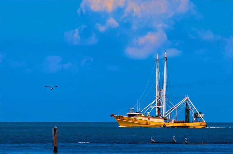 CAPT. MAI - Vesseljoin