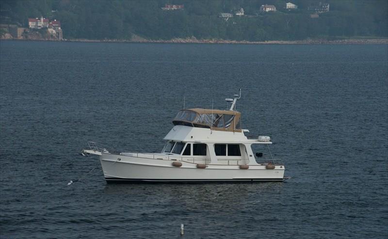 SANDY CHEEKS - Vesseljoin