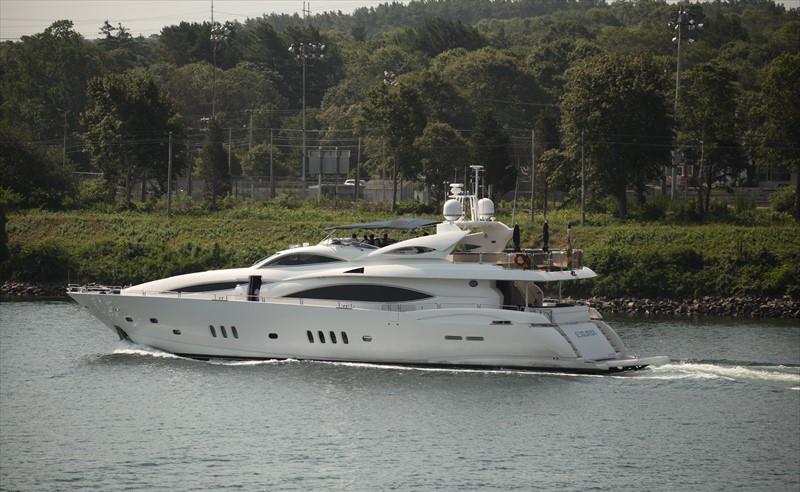 DELFINO - Vesseljoin