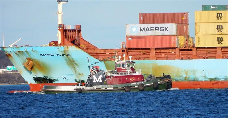 LYNNE MORAN - Vesseljoin