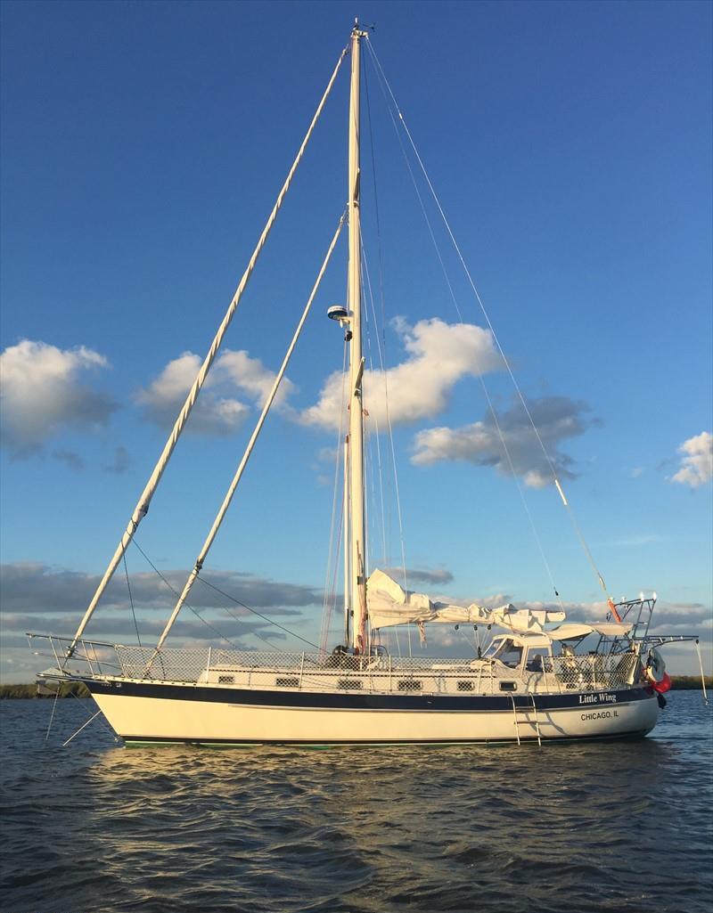 LITTLE WING - Vesseljoin