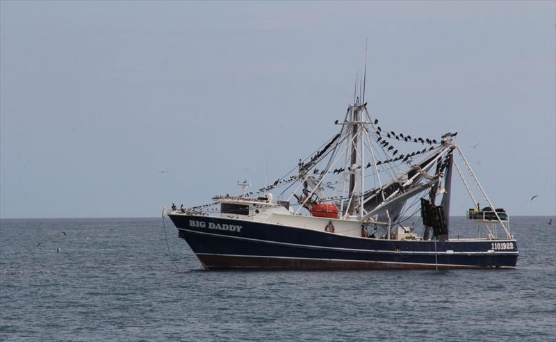 BIG DADDY - Vesseljoin