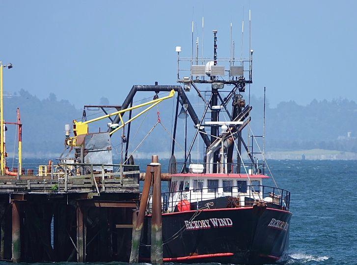 HICKORY WIND - Vesseljoin