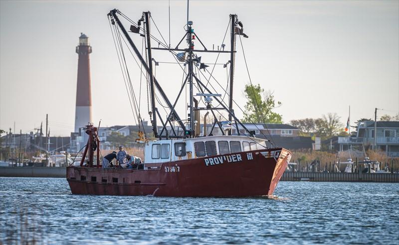 PROVIDER III - Vesseljoin