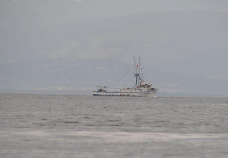 CHARLOTTE M - Vesseljoin