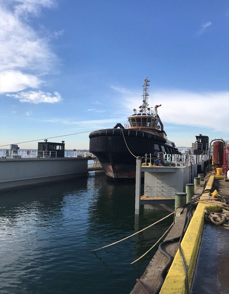 INDEPENDENCE - Vesseljoin