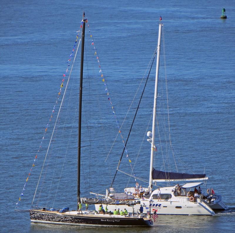 STARK RAVING MAD - Vesseljoin