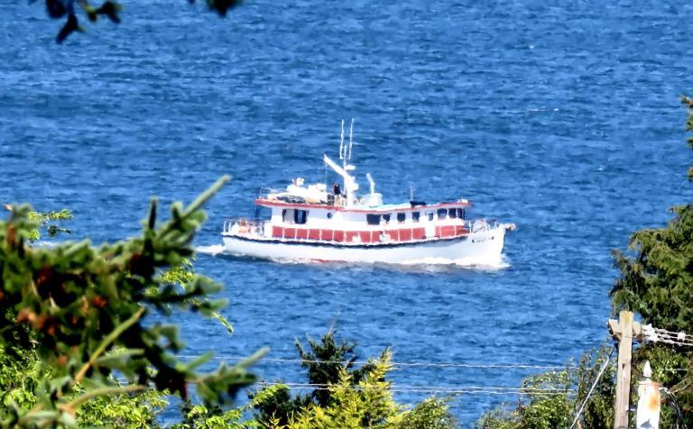 SONNY BOY - Vesseljoin