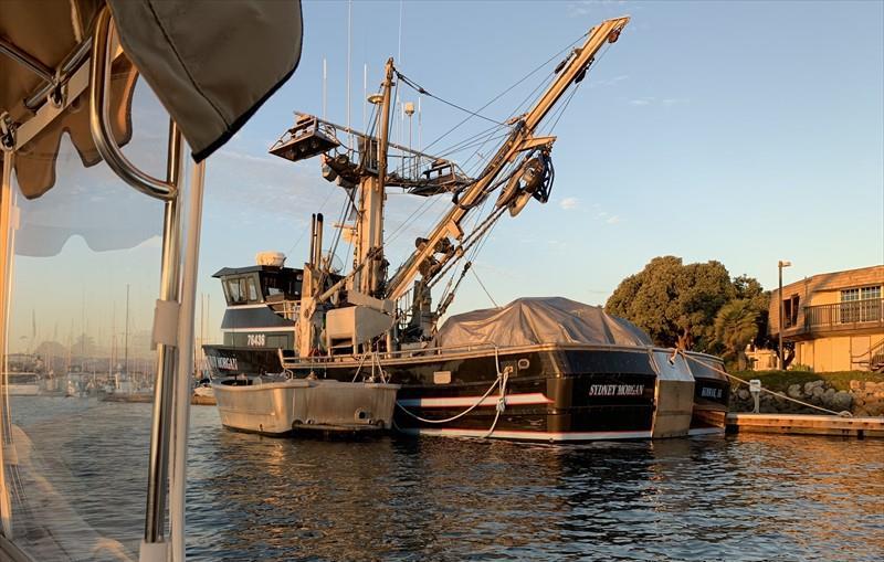 SYDNEY MORGAN - Vesseljoin