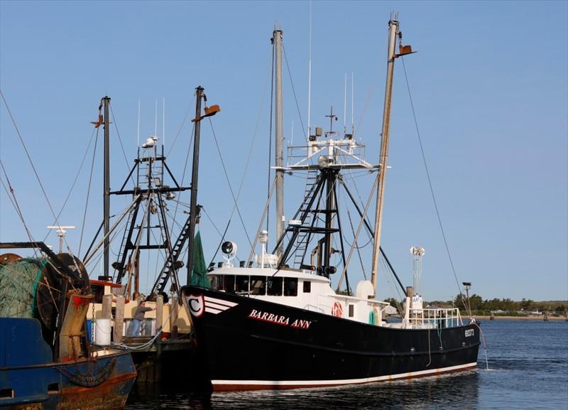 BARBARA ANN - Vesseljoin