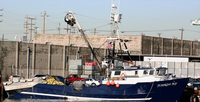 FERRIGNO BOY - Vesseljoin